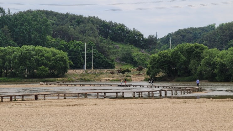 영주 무섬마을 가는길 무섬외나무다리 주차장영주무섬마을무섬외나무다리 드라마 영주 줄거리최민수한은정 네이버 블로그