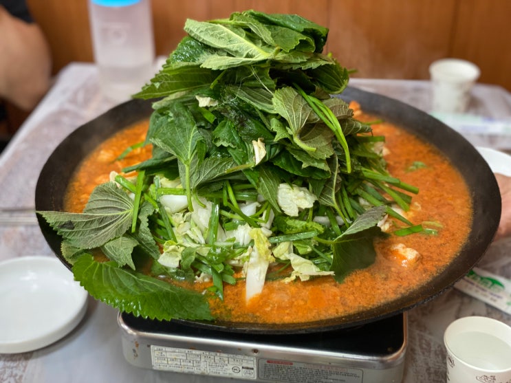 태백의 명물 물닭갈비의 원조 칼칼한 국물이 일품인 노포 맛집 태백닭갈비 네이버 블로그