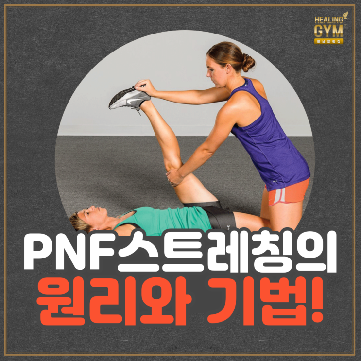 [향남 헬스장] 효과가 탁월한 PNF 스트레칭 소개! : 네이버 블로그