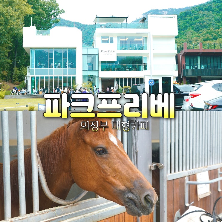 의정부 의정부 승마장이있는 대형카페 파크프리베 네이버 블로그