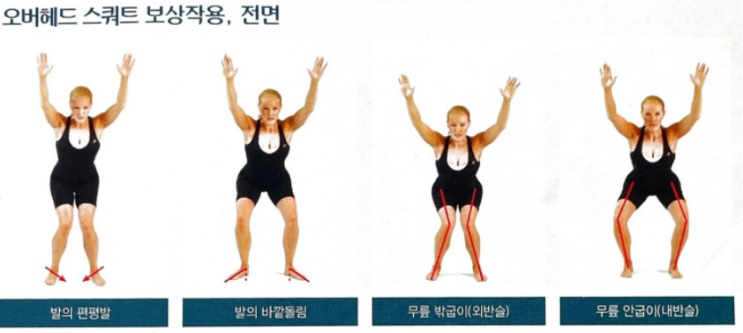경기광주헬스장 태전동헬스장 Nasm 움직임 자세 평가 오버헤드 스쿼트 네이버 블로그
