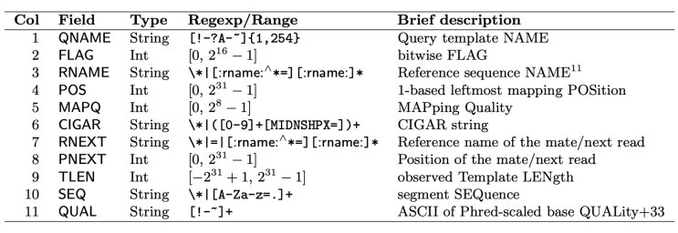 [Bioinformatics] SAM/ BAM format : 네이버 블로그