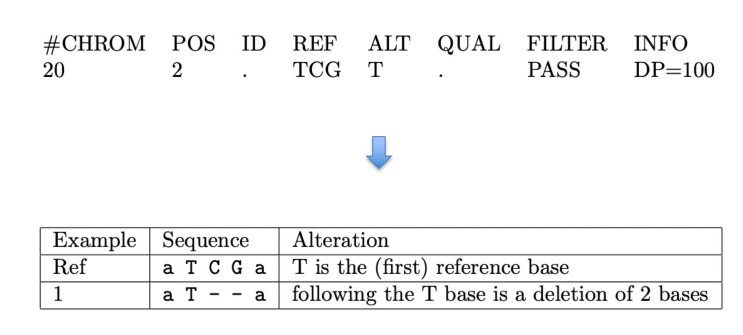 [Bioinformatics] VCF/ BCF format : 네이버 블로그