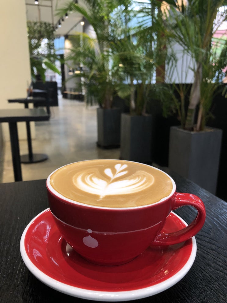 대전 둔산동 카페 - 오아이커피(Oi coffee) : 네이버 블로그