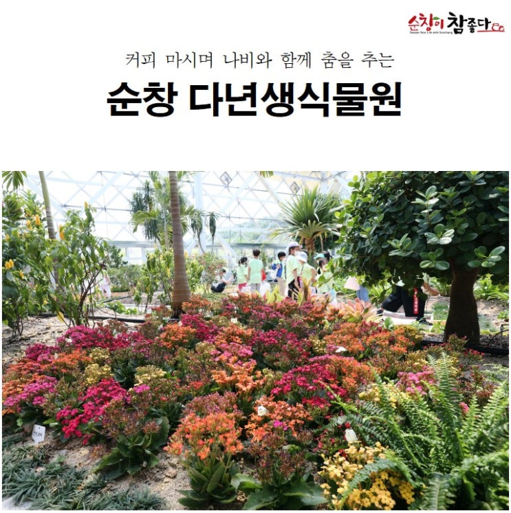 커피 마시며 나비와 함께 춤도 출 수 있는 순창발효테마파크 다년생 식물원 네이버 블로그