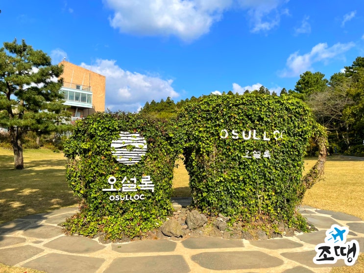 제주도 가볼만한 곳 오설록 티 뮤지엄티 클래스 추천이니스프리 비누 만들기 네이버 블로그