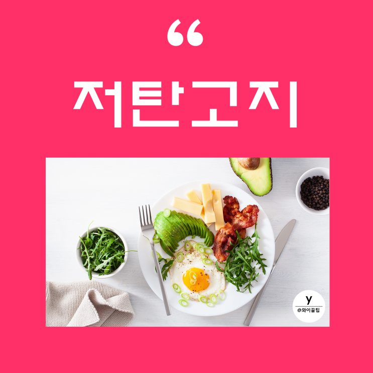 저탄고지 다이어트 뜻 키토제닉 키토식단 케톤 식이요법 키토래쉬 키토플루 네이버 블로그