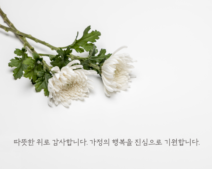 장례식후 답례 인사말 조의·부고 감사답례문자와 함께 답례떡선물로 감사의 마음 전해요 네이버 블로그