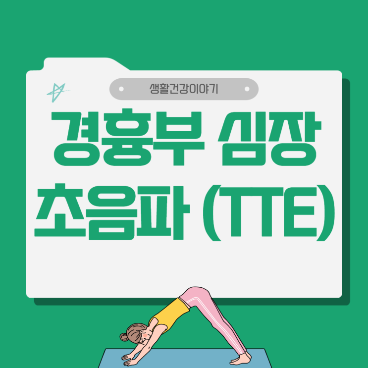의학용어 Tte 심장초음파 검사 네이버 블로그