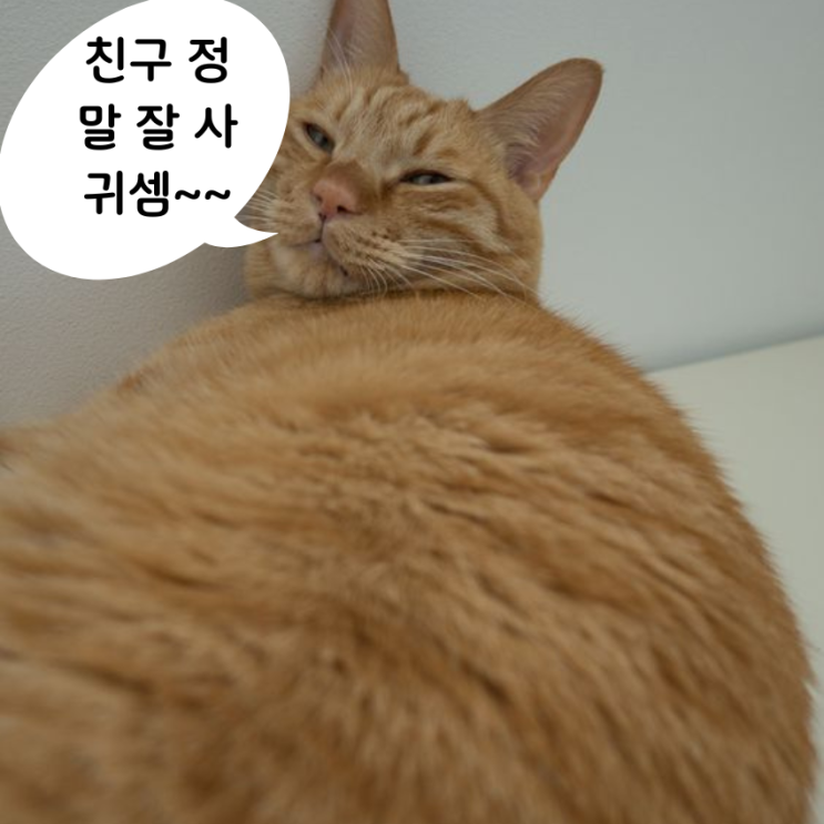 말풍선 짧은 글 친구 네이버 블로그