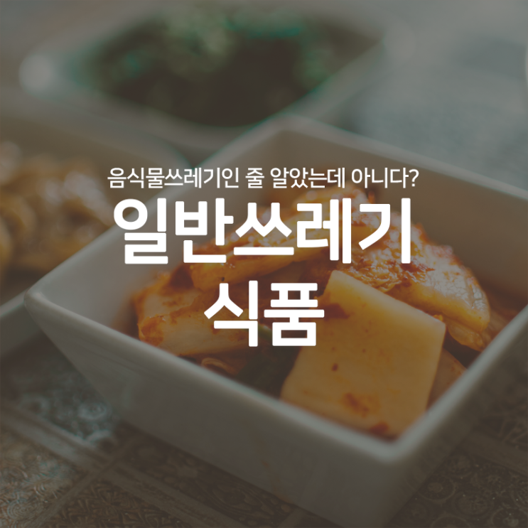 음식은 전부 음식물쓰레기 일반쓰레기로 버리는 식품들 네이버 블로그