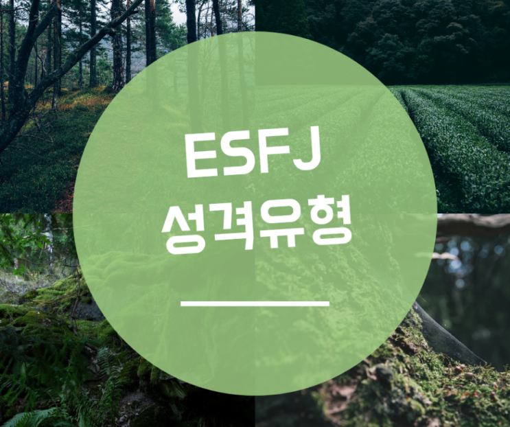 MBTI ESFJ 성격 유형에 대한 모든 것 : 네이버 블로그