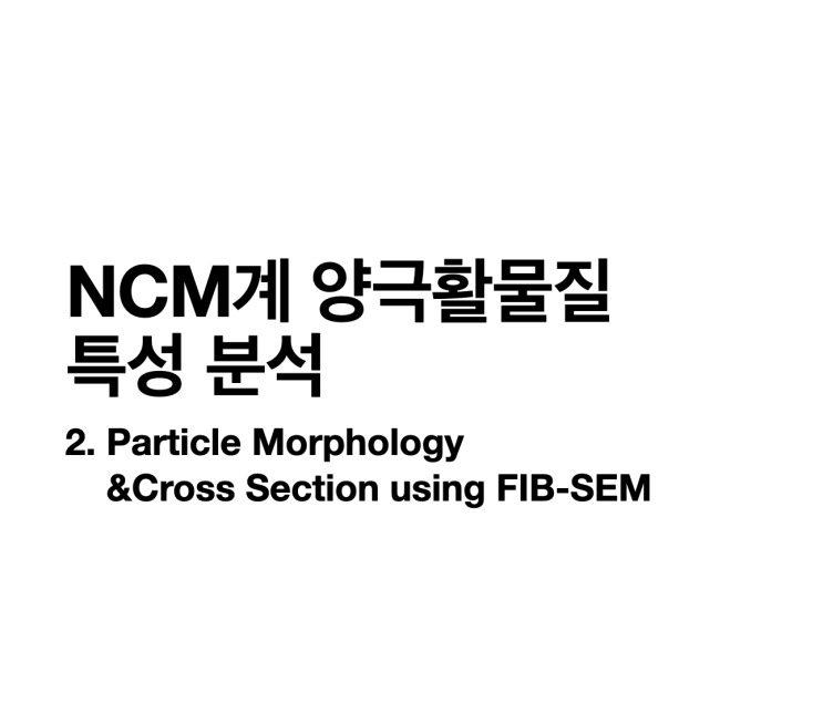 NCM계 양극활물질 특성 분석_2. Particle Morphology&Cross Section using FIB-SEM ...