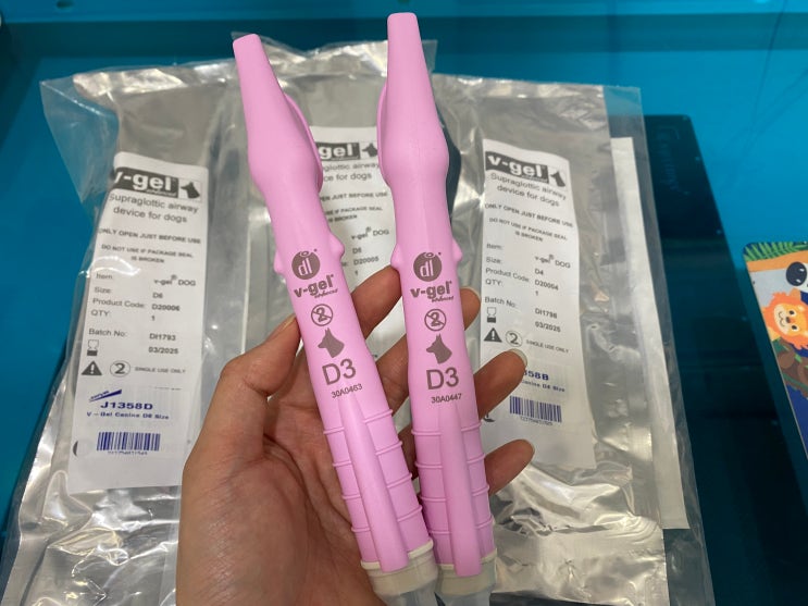 [ 청라 J 동물병원 ] 강아지 안전한 마취 V-gel 사용 : 네이버 블로그