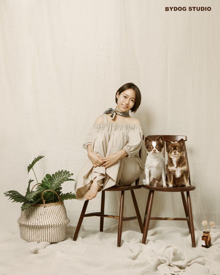 장모치와와 가족사진and 강아지가족사진 바이독애견스튜디오장모치와와 화보장모치와와 사진관강아지랑가족사진 네이버 블로그