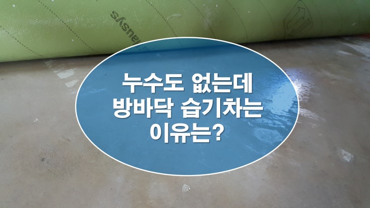 누수도 없는데 방바닥에 습기 곰팡이 방바닥에 장판 밑에 습기 차는 이유는 네이버 블로그
