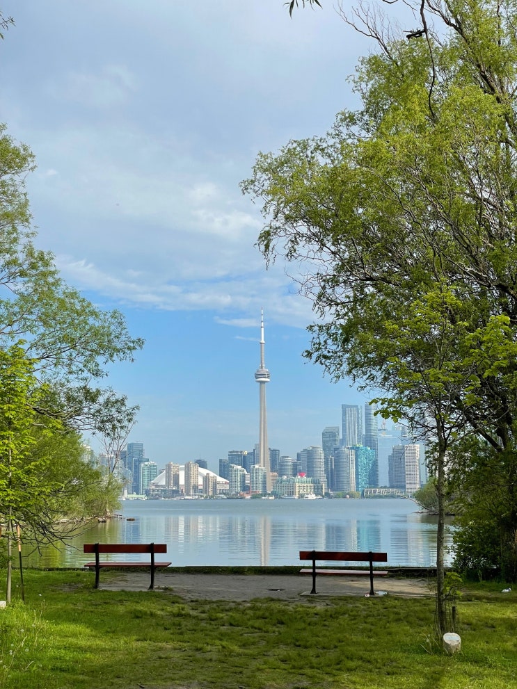 토론토 아일랜드 공원(Toronto Island Park) 산책 한 바퀴 : 네이버 블로그