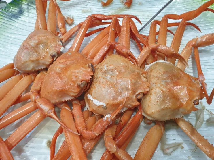 강릉교동홍게무한리필살이꽉찻네요덕산박철수교수맛집박철수교수맛집한림성심대학교수시모집방사선과방사선학과입학홍보처장23