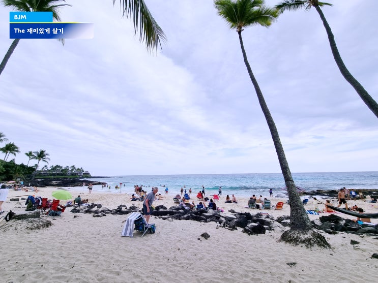하와이여행 빅아일랜드 코나 매직샌드비치 Magic Sands Beach Park : 네이버 블로그