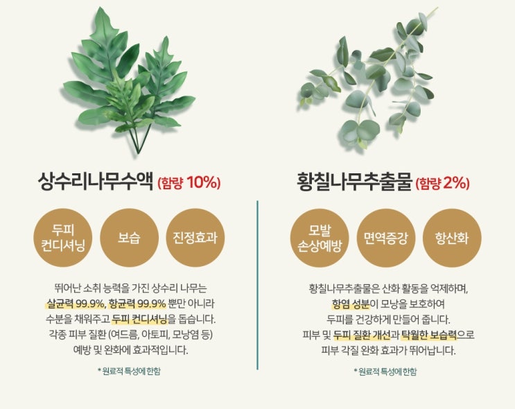 모집 항암준비물2탄 두피관리편 이브서포터즈 11기를 모집합니다마감 6월 16일 네이버 블로그