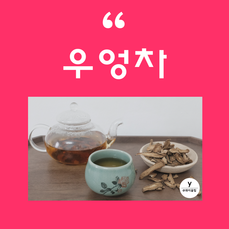 우엉차 효능 칼로리 만들기 임산부 물대신 우엉차 구수하리 네이버 블로그