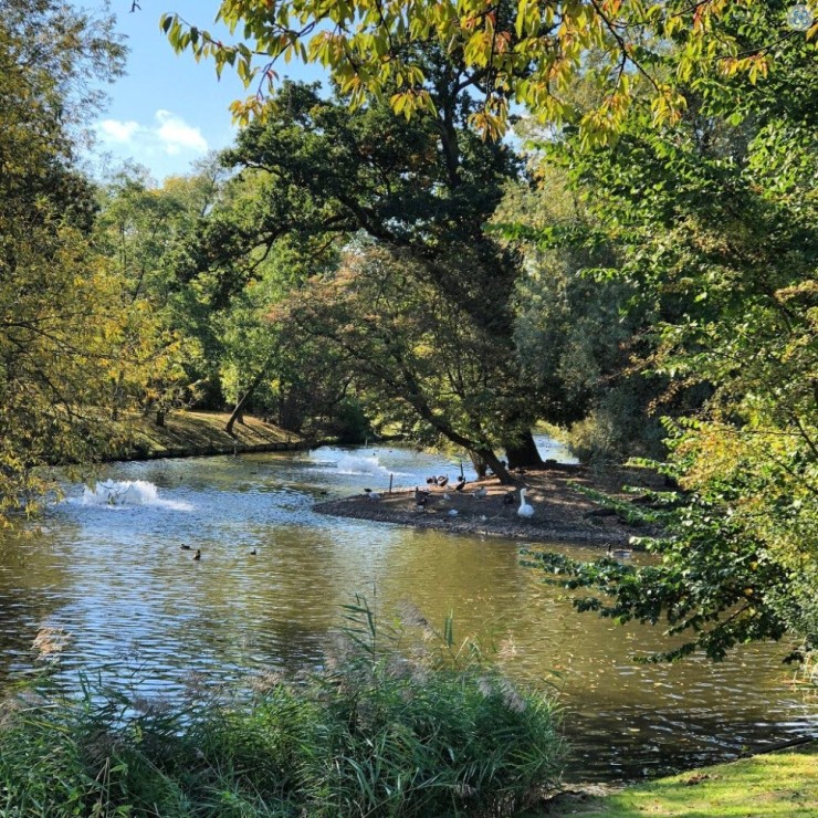 알틴비 - Olive [노래가사, 듣기, Audio] : 네이버 블로그