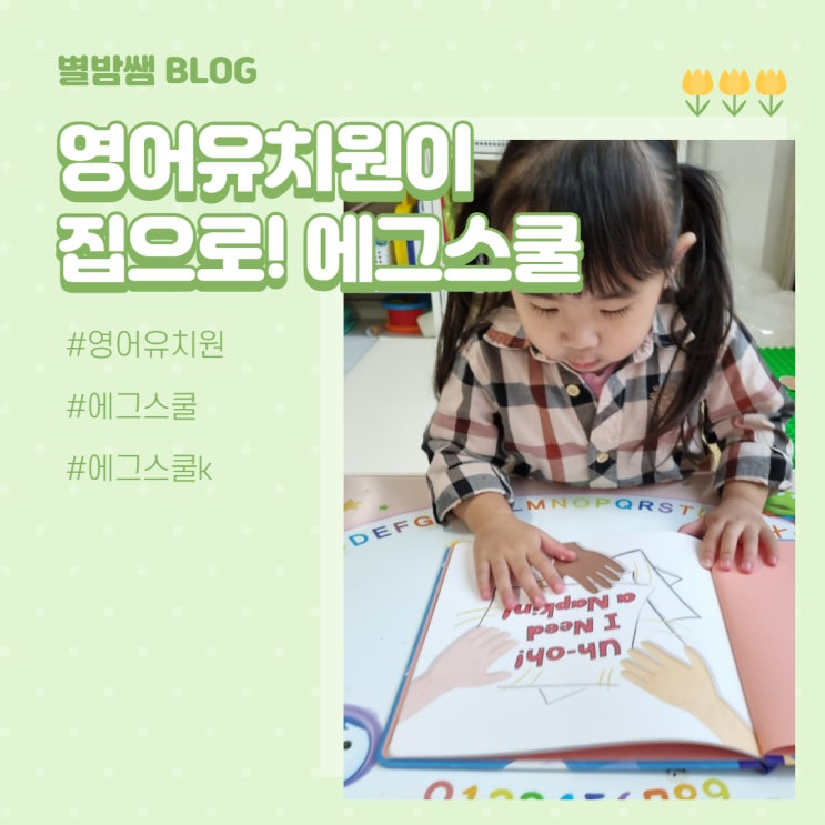 에그스쿨 K로 영어유치원 대신 홈스쿨링 영어 시작하기 네이버 블로그