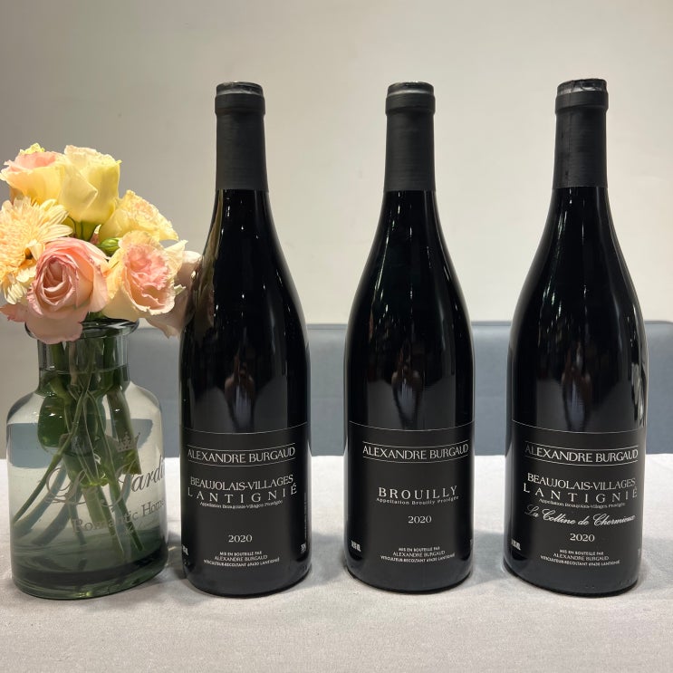 알렉산드르 뷔고 [Alexandre Burgaud] 보졸레 빌라쥐 랑티니 & 알렌산드레 뷔고, 보졸레 크뤼 브루이 & 알렉산드르 ...
