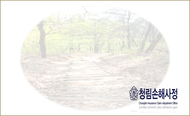 기타 뇌경색증(I63.8)!! 뇌졸중 진단비 손해사정 사례 : 네이버 블로그