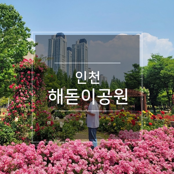 인천장미공원 송도 해돋이공원 장미축제 음악분수 운영시간 예쁜 장미터널이 반기는 6월 꽃구경 데이트코스 놀거리 인천