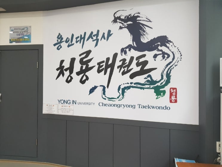 평내초등학교 근처 태권도 배우기 좋은 용인대석사청룡태권도 네이버 블로그