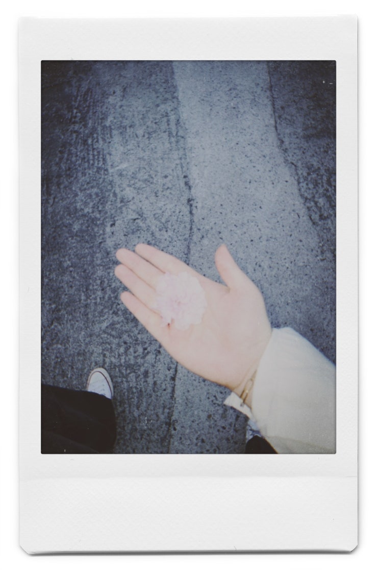 4月 : 네이버 블로그