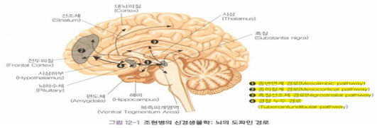 정신간호학 제12장 조현병 스펙트럼 장애 간호 네이버 블로그