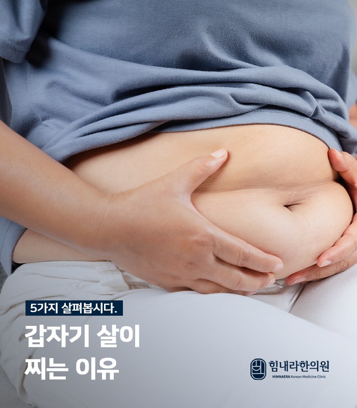 갑자기 살이 찌는 이유 5가지 살펴봅시다 네이버 블로그