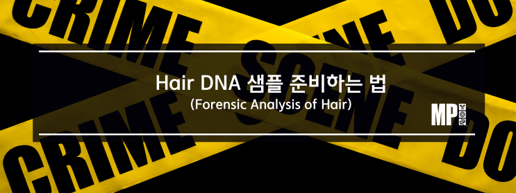 모발 DNA 추출을 위한 준비과정 (Forensic Analysis of Hair) : 네이버 블로그