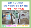 울산 중구 성안동 전망 막힘없이 좋은 빌라 탑층 매매 성안동부동산늘찬부동산 네이버 블로그