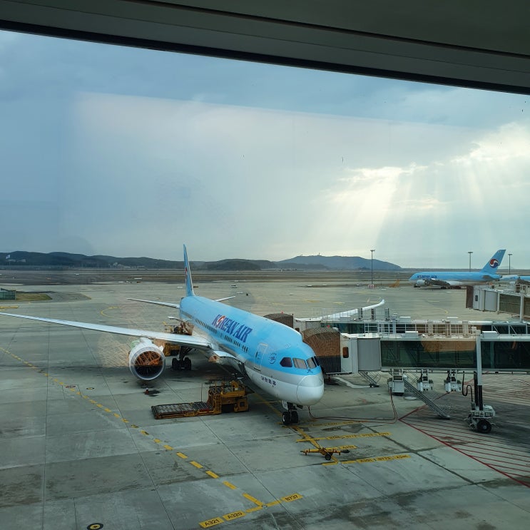 인천↔싱가포르 대한항공 KE645, KE646 맨 끝자리 탑승 & 출입국 후기 (2022. 6.) : 네이버 블로그