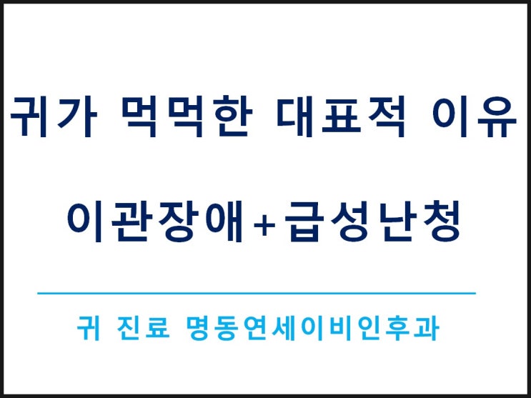 귀가 먹먹할때 반드시 청력 검사를 확인해야 하는 이유 네이버 블로그