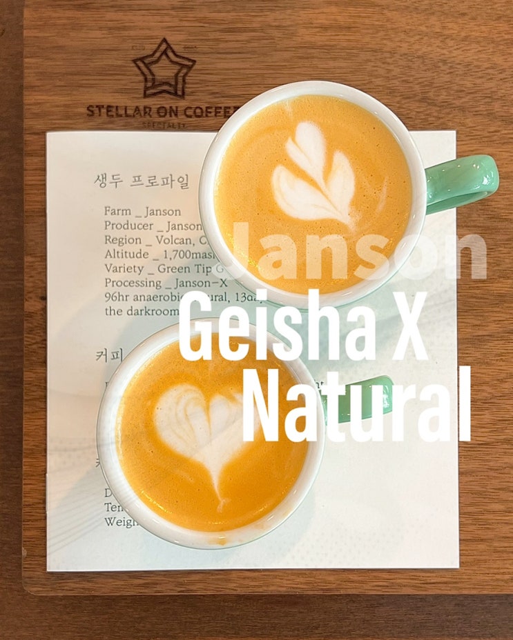 스텔라온커피 | Janson Geisha X Course | Specialtycoffee | 젠슨게이샤 | 희귀원두 : 네이버 블로그