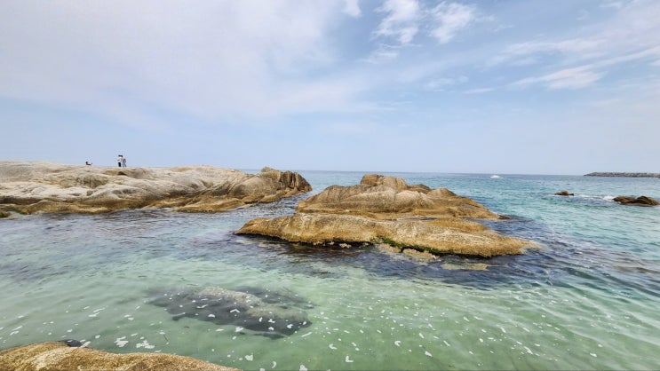 아이들은 바다체험, 어른이들은 스노클링 아야진해수욕장 : 네이버 블로그