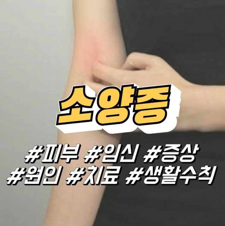 온몸이 간지러워요 임신 소양증 치료 및 생활수칙 피부소양증 전신 가려움증 네이버 블로그