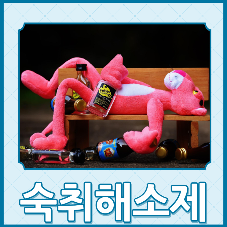 숙취해소제 숙취 숙취해소제 원리 편의점 숙취해소제 약국 숙취해소제 히말라야 숙취해소제 네이버 블로그