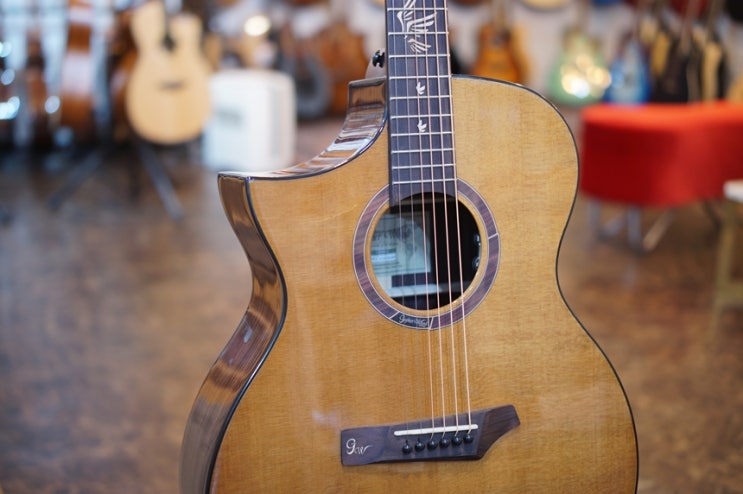 할인: 찾기 힘든 좋은 왼손기타 고퍼우드 i320RCE LH : 네이버 블로그