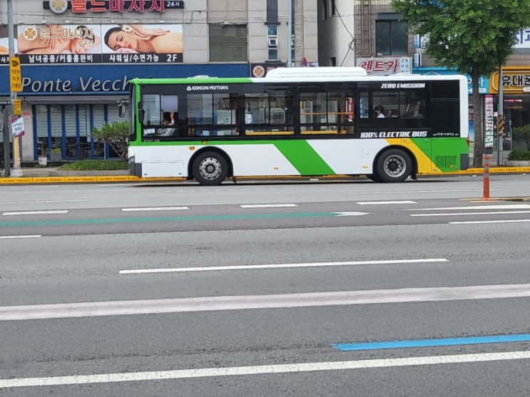 라정시내송정100번 : 네이버 블로그