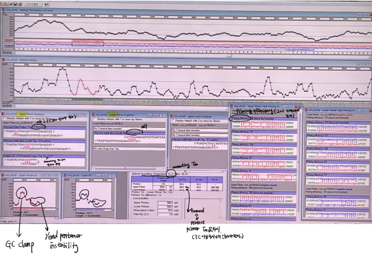 principle of primer design : 네이버 블로그