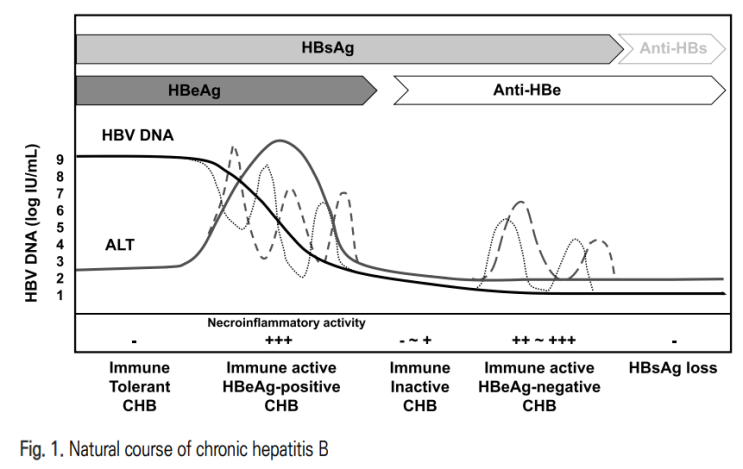 [간내과] B형간염 Hbs Ag/Ab 동시양성 : 네이버 블로그