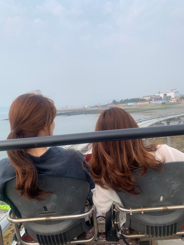 대천여행대천 여행지 추천대천 해수욕장 대천해수욕장 스카이바이크 대천에서 즐기는 익스트림스포츠 네이버 블로그