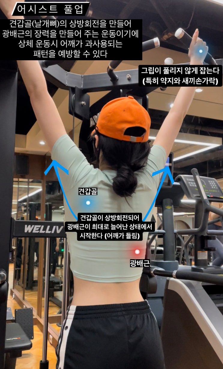 논현PT 권세원팀장님과 안전한 상체운동 해보자 : 네이버 블로그