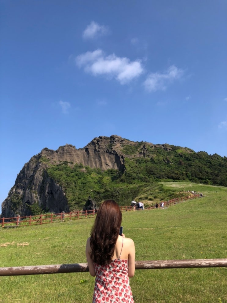 제주도 일주일 살기 Day 2 월정리 해수욕장 바다수영 성산일출봉 고등어쌈밥 광치기해변 네이버 블로그
