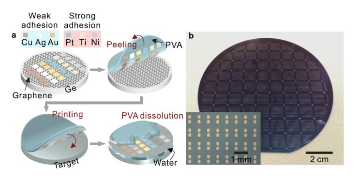 A transfer-printing technique to integrate metal electrodes and 2D ...